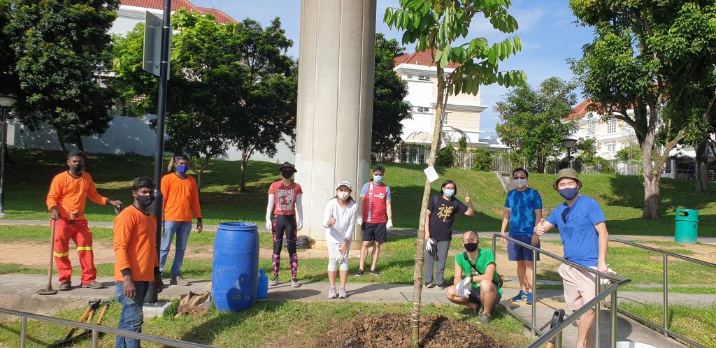 Tree-Planting Day at Sunbird-Apollo Estate | Sunbird-Apollo Estate